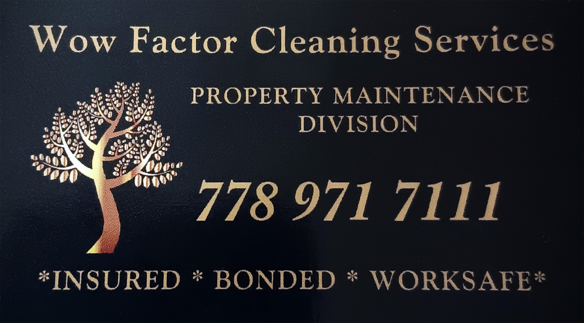 Property Maintenance Services